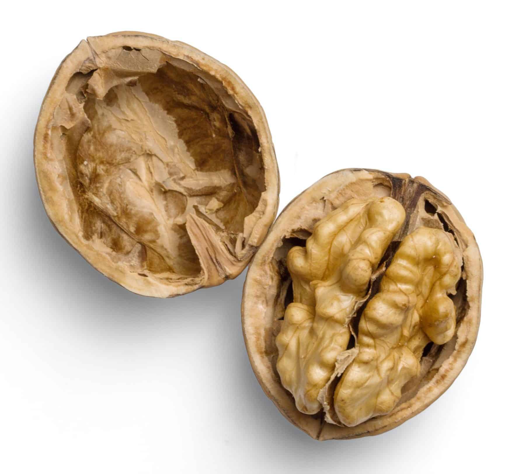 Milk Alternative Nutrition Comparison (complete guide)